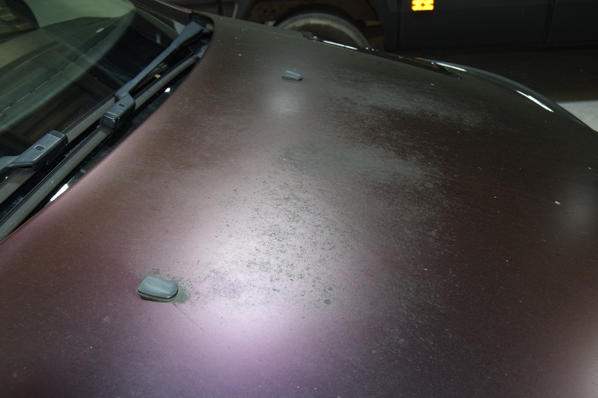 Ford Focus various vinyl jobs | LADZ Wrap N Tint